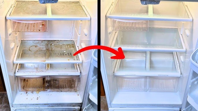 Want to Avoid Costly Repairs? Top Fridge Maintenance Tips